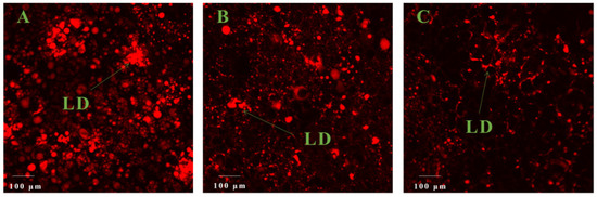 Multi-Omics Analysis to Visualize Ecotype-Specific Heterogeneity of the ...