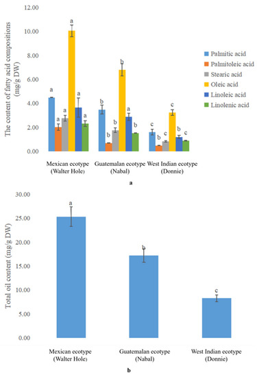 Multi-Omics Analysis to Visualize Ecotype-Specific Heterogeneity of the ...