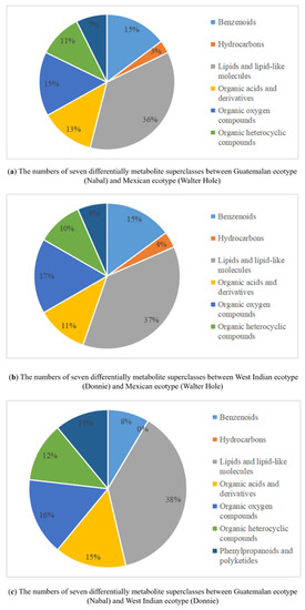 Multi-Omics Analysis to Visualize Ecotype-Specific Heterogeneity of the ...