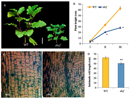 Phenotypic Characterization and Differential Gene Expression Analysis ...
