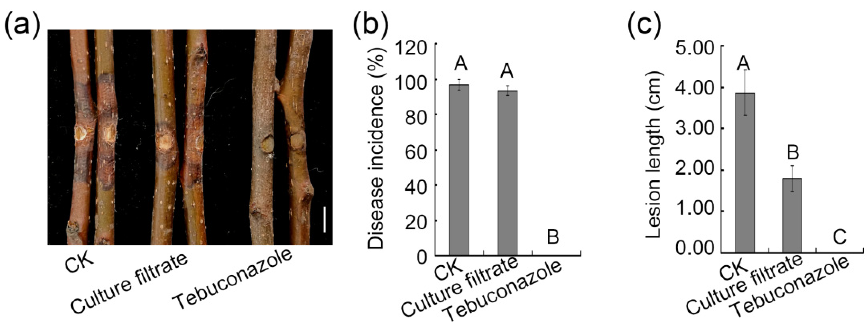 Biological Control of Pear Valsa Canker Caused by Valsa pyri Using ...