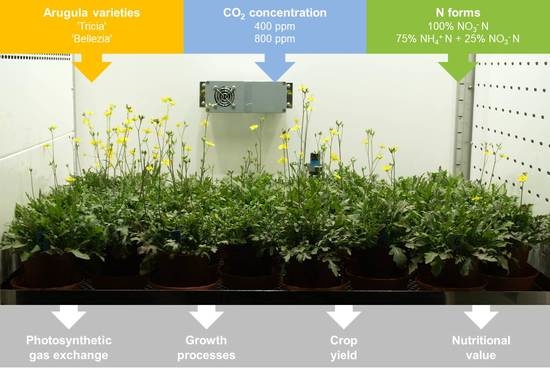 Horticulturae | Free Full-Text | For a Better Understanding of the ...