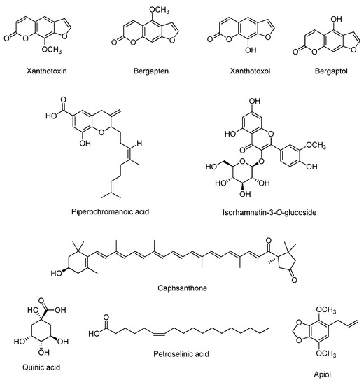 Horticulturae | Free Full-Text | Improvement of Nutraceutical Value of ...