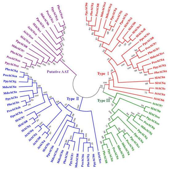 Horticulturae | Special Issue : Genetics and Breeding of Fruit Trees