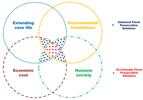 Do Eco-Friendly Floral Preservative Solutions Prolong Vase Life Better ...