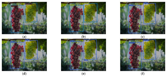 SwinGD: A Robust Grape Bunch Detection Model Based on Swin Transformer in Complex Vineyard ...