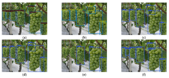 SwinGD: A Robust Grape Bunch Detection Model Based on Swin Transformer in Complex Vineyard ...