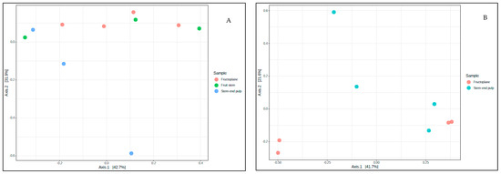 Horticulturae | Free Full-Text | Mango Endophyte and Epiphyte ...