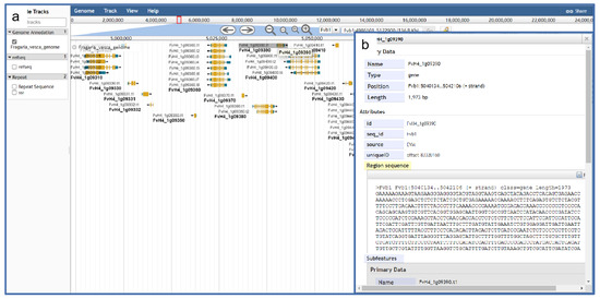 GDS: A Genomic Database for Strawberries (Fragaria spp.)
