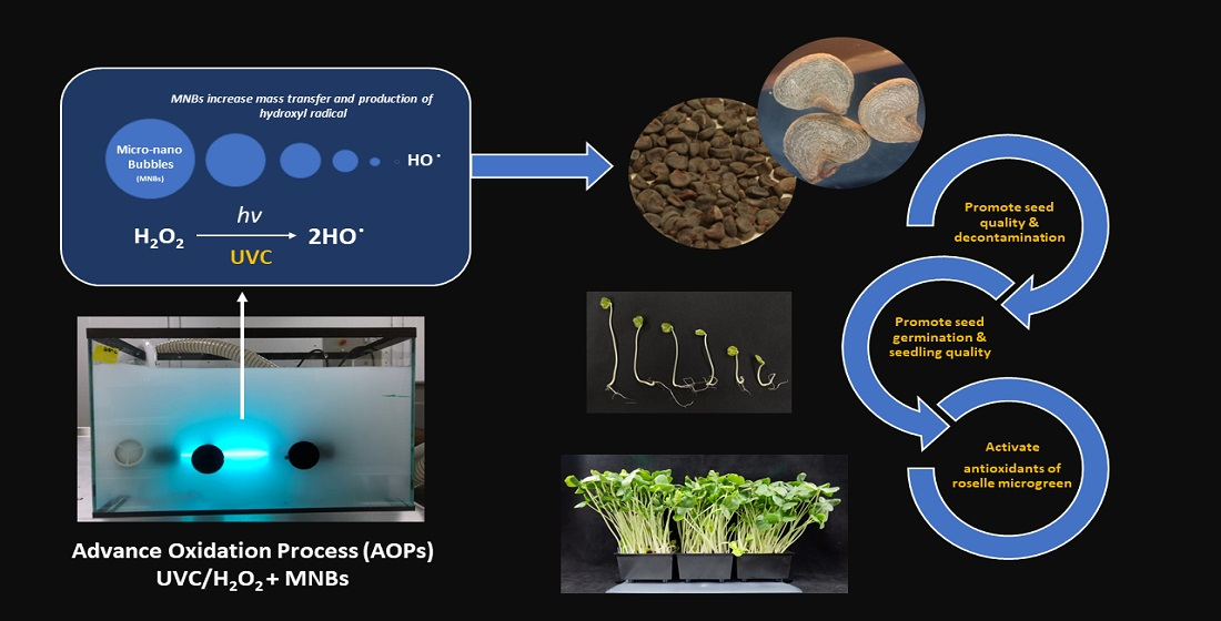 Horticulturae | Free Full-Text | A Novel Technique Using Advanced ...