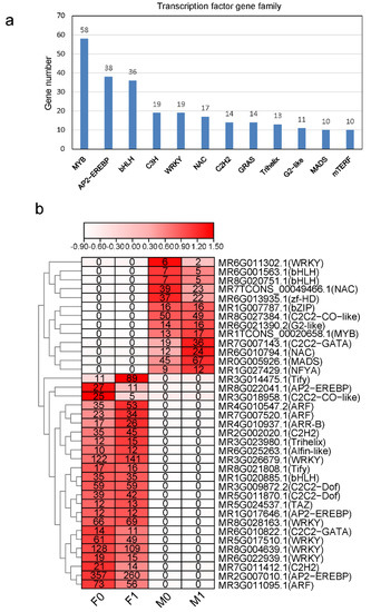 Horticulturae Free Full Text Comparative Transcriptome Analysis