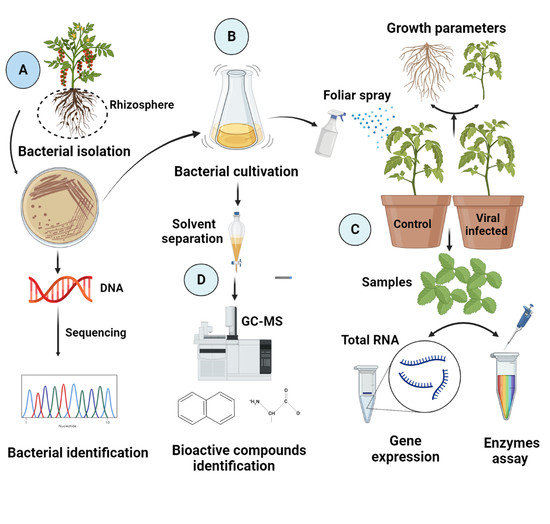 Horticulturae | An Open Access Journal from MDPI