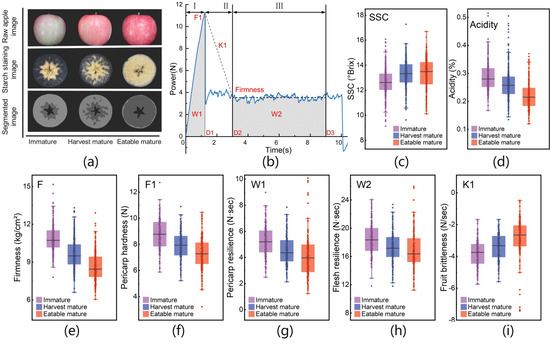 Rapid Identification of Apple Maturity Based on Multispectral Sensor ...