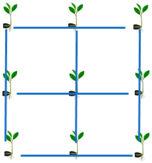Planting Arrangement and Effects of Planting Density on Tropical Fruit ...