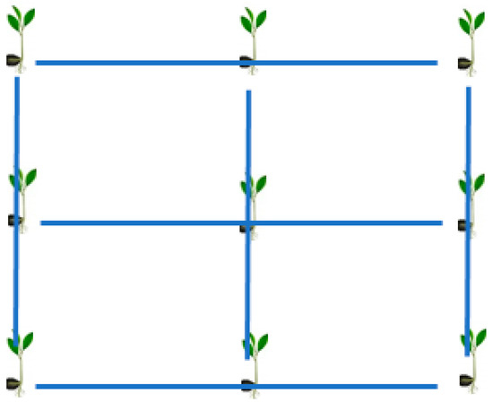 Planting Arrangement and Effects of Planting Density on Tropical Fruit ...