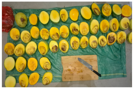 The Link between Mineral Elements Variation and Internal Flesh ...