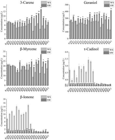 Effects of Shaking and Withering Processes on the Aroma Qualities of ...