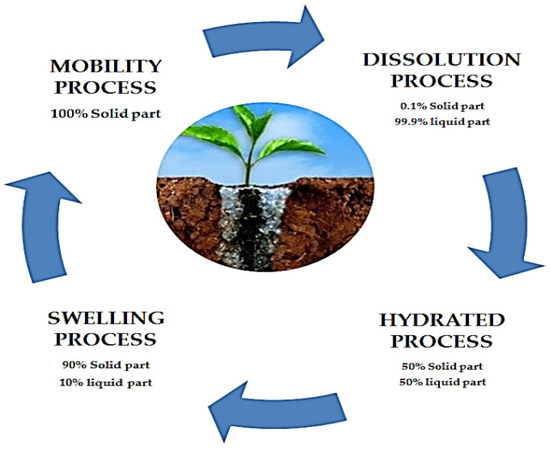 Superabsorbent Polymer Hydrogels for Sustainable Agriculture: A Review