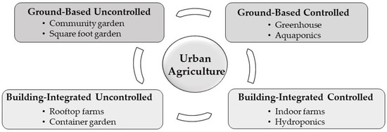 Recent Trends in Urban Agriculture to Improve Bioactive Content of ...