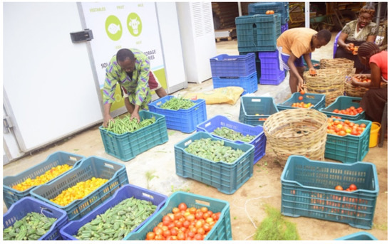 Precooling and Cold Storage Methods for Fruits and Vegetables in Sub ...