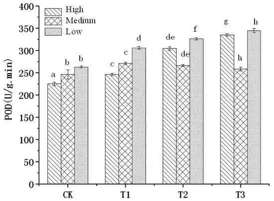 Peroxidase Activity in Tomato Leaf Cells under Salt Stress Based on ...