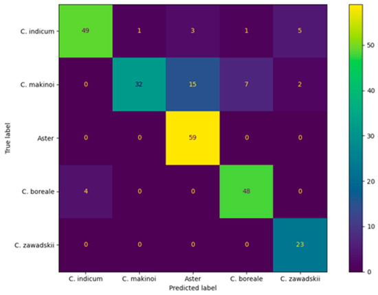 Horticulturae | Free Full-Text | Wild Chrysanthemums Core Collection ...