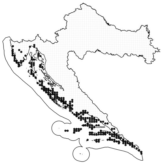 Horticulturae | Free Full-Text | Strawberry Tree Fruits and Leaves ...