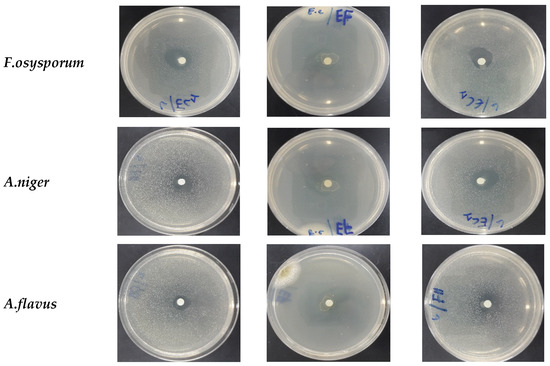 GC-MS Characterization, In Vitro Antioxidant, Antimicrobial, and In ...