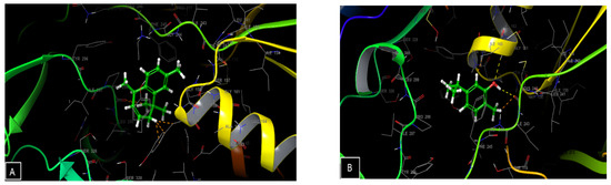 GC-MS Characterization, In Vitro Antioxidant, Antimicrobial, and In ...