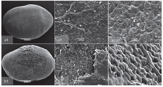 In Vitro Studies on Seed Germination of the Mediterranean Species ...