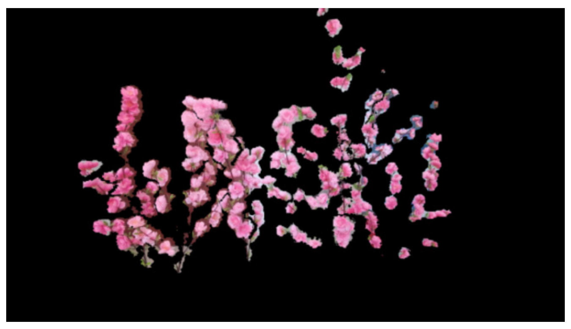 Horticulturae Free Full Text Peach Flower Density Detection Based On An Improved Cnn
