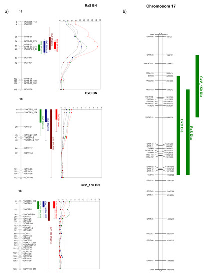 Relieving the Phenotyping Bottleneck for Grape Bunch Architecture in Grapevine Breeding Research ...