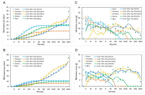 Potato Aeroponics: Effects of Cultivar and Plant Origin on Minituber ...
