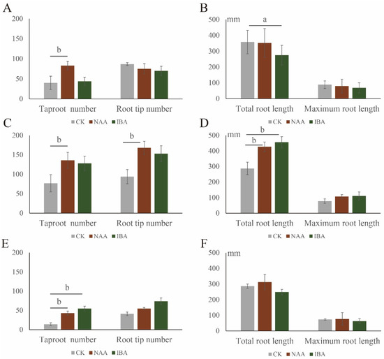 Air Layering Improves Rooting in Tree Peony Cultivars from the Jiangnan ...