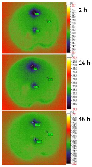 Research on the Use of Thermal Imaging as a Method for Detecting Fungal ...