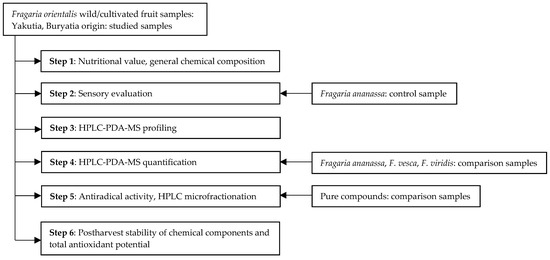 Horticulturae | Free Full-Text | Oriental Strawberry Metabolites: LC–MS ...