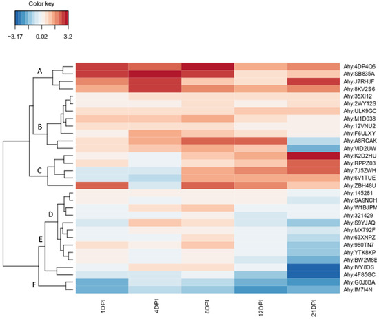 Evolution of LysM-RLK Gene Family in Wild and Cultivated Peanut Species