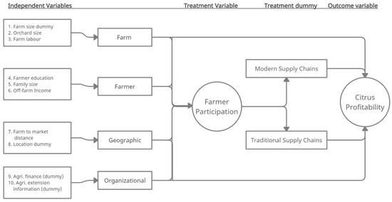 Farmers’ Participation in Modern Supply Chains: The Case of Mandarin ...