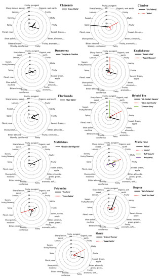 The Contribution of Volatile Organic Compounds (VOCs) Emitted by Petals ...