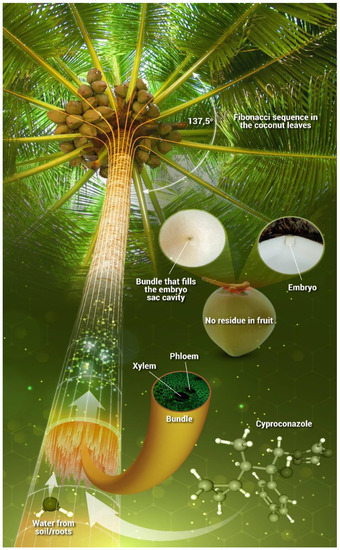 Cyproconazole Translocation in Coconut Palm Tree Using Vegetative ...