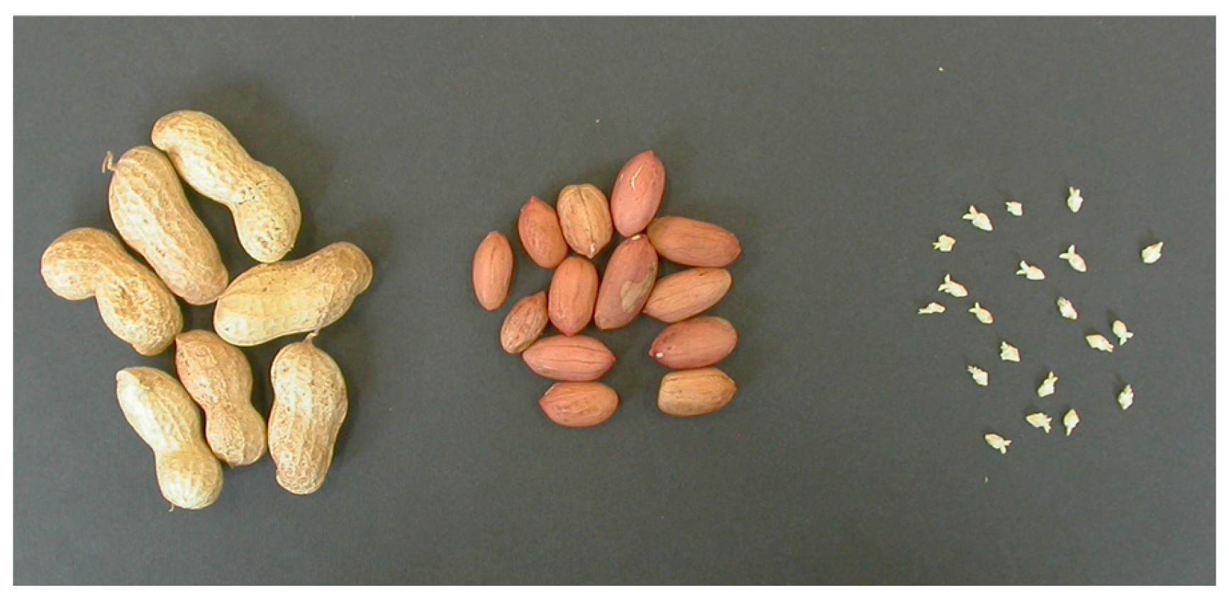 Horticulturae | Free Full-Text | Establishment of Direct Organogenesis Protocol for Arachis ...