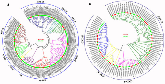 Genome-Wide Characterization and Expression Profiling of NBS-LRR ...