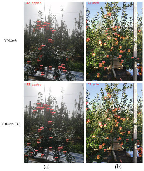 Lightweight Apple Detection in Complex Orchards Using YOLOV5-PRE