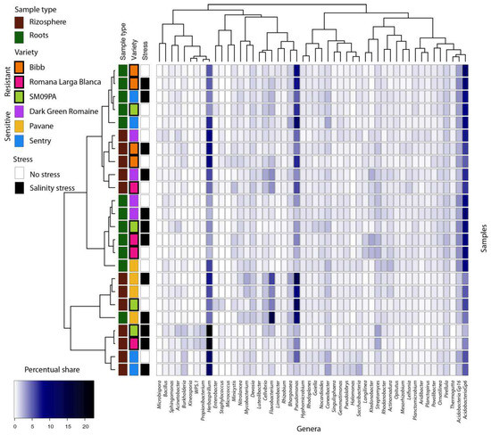 Varieties of Lettuce Forming Distinct Microbial Communities Inhabiting ...