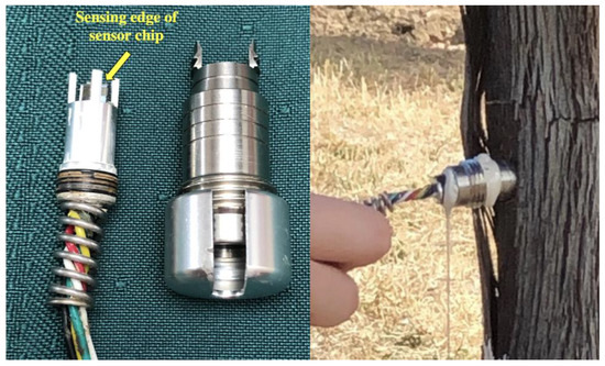 Monitoring Stem Water Potential with an Embedded Microtensiometer to ...