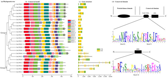 Genome–Wide Investigation of the CBL–CIPK Gene Family in Oil Persimmon ...