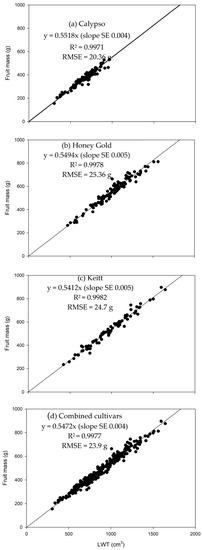 In-Orchard Sizing of Mango Fruit: 2. Forward Estimation of Size at Harvest