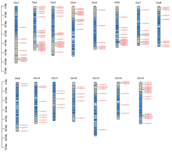 Horticulturae | Free Full-Text | Genome-Wide Analysis of the AP2/ERF ...