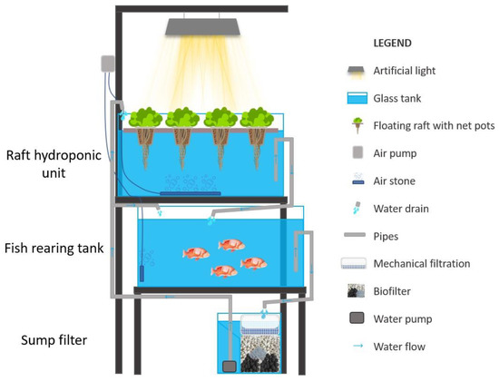 Spinach Responds to Minimal Nutrient Supplementation in Aquaponics by Up-Regulating Light Use ...