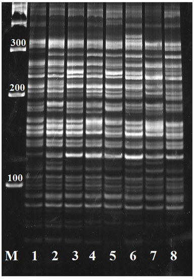 Rapid Genetic Assessment of Carrot Varieties Based on AFLP Analysis